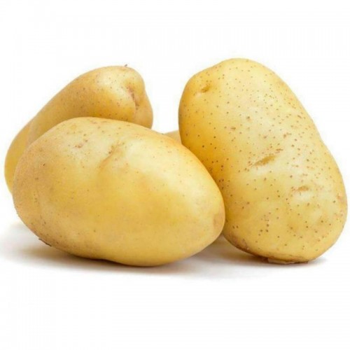 Pomme de terre blanche البطاطس البيضاء